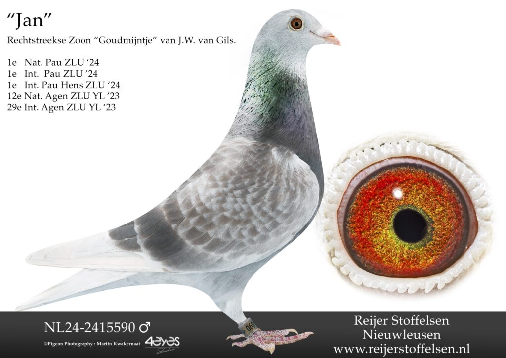 Koppellijst 2025 – Reijer Stoffelsen – Nieuwleusen